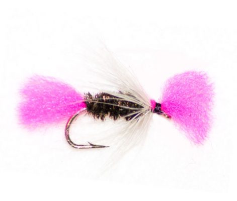 bradshaws fancy traditional wet fly from the team at fish fishing flies