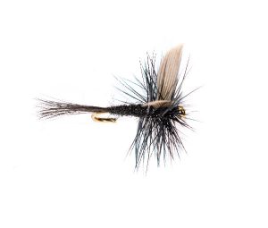 Black gnat traditional dry fly from the guys at fish fishing flies
