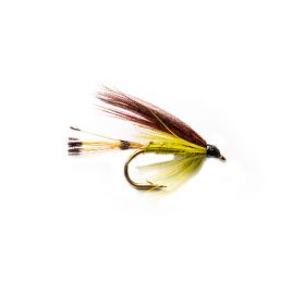 Pond Olive traditional nymph from guys at fish fishing flies