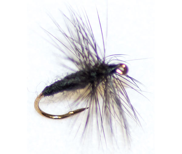 Black spider hackle traditional dry fly from the guys at fish fishing flies