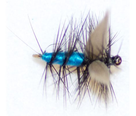 Blue bottle traditional dry fly from the guys at fish fishing flies