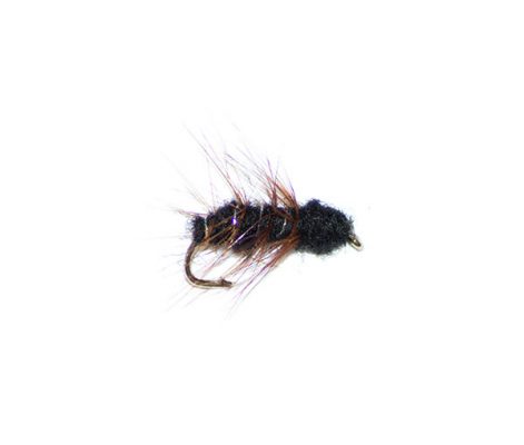 Curly Bum Black traditional nymph from guys at fish fishing flies