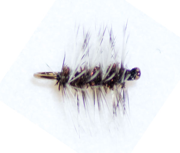 Griffiths gnat traditional dry fly from the guys at fish fishing flies
