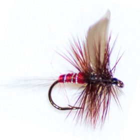 Red spinner winged traditional dry fly from the guys at fish fishing flies