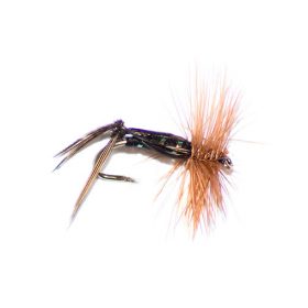 black hopper goldhead fly