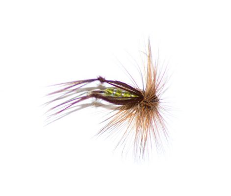Olive Hopper traditional hopper fly.