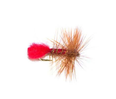 Soldier Palmer traditional dry fly from fish fishing flies