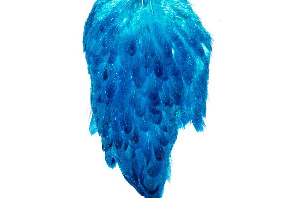 Large Blue Hen Cape Waterburn Fly Tying Materials